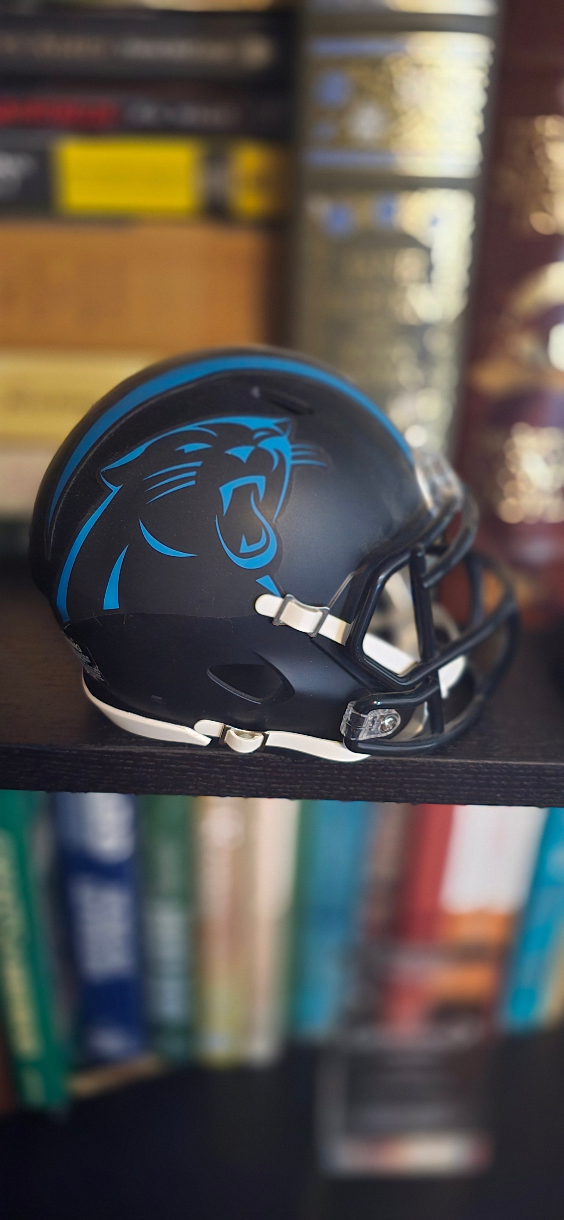 Mini Helmet – Roaring Riot